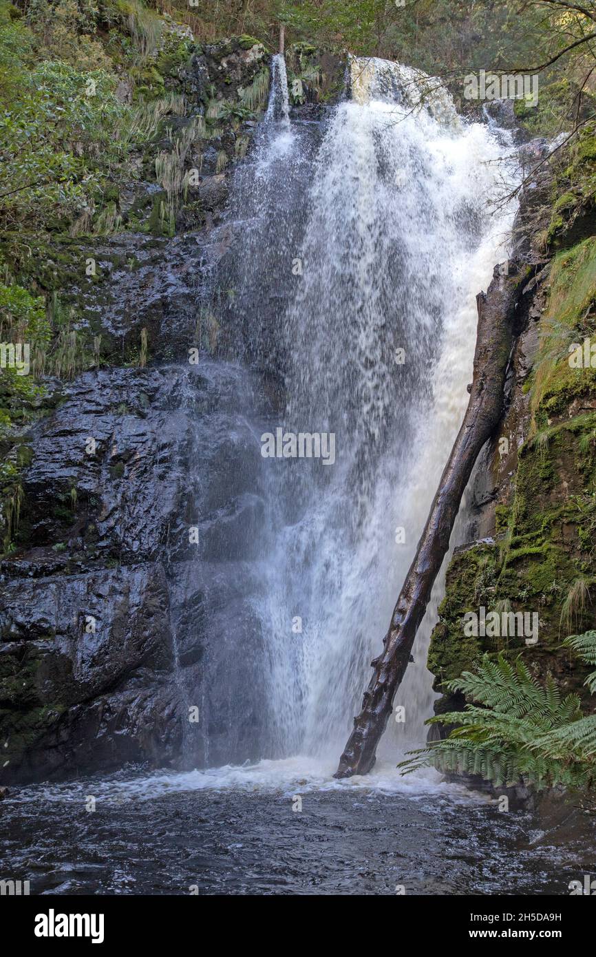 Mathinna hi-res stock photography and images - Alamy