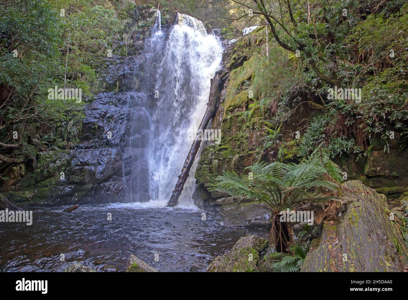Mathinna tasmania hi-res stock photography and images - Alamy