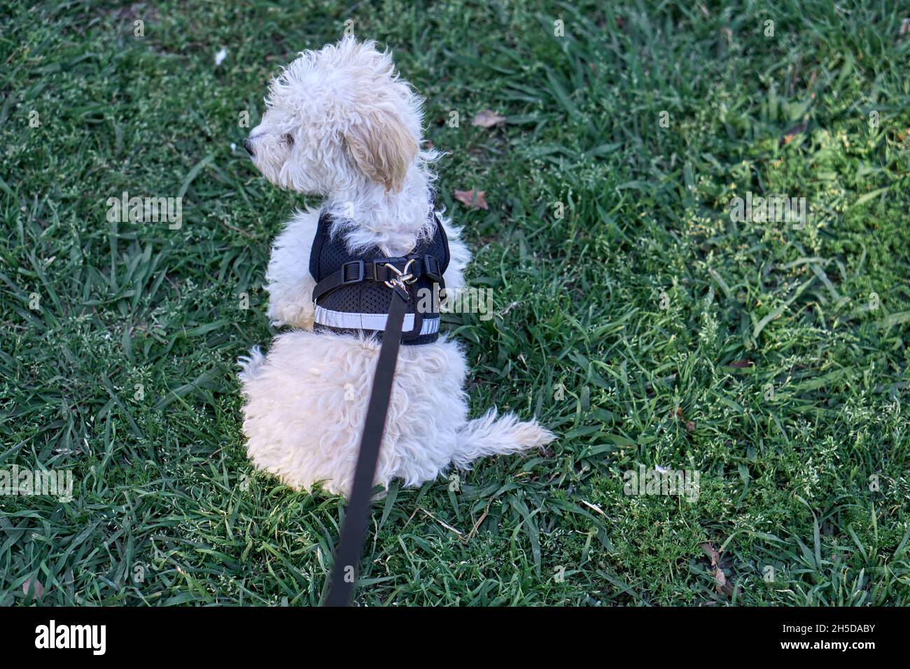 Back side horizontal hi-res stock photography and images - Alamy