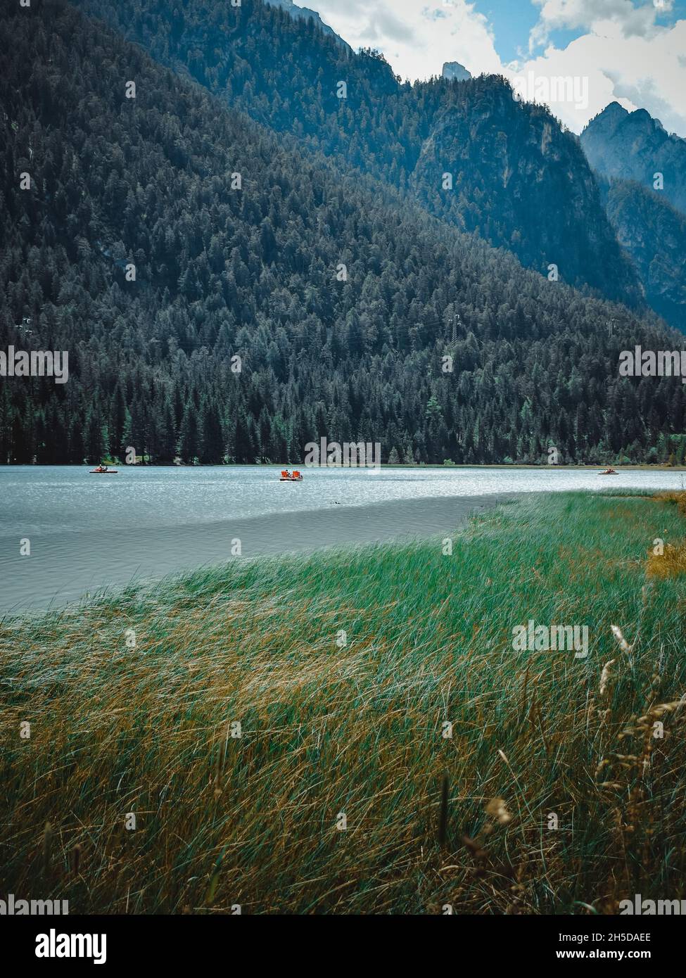 great view on the dobbiaco lake, in trentino Stock Photo - Alamy