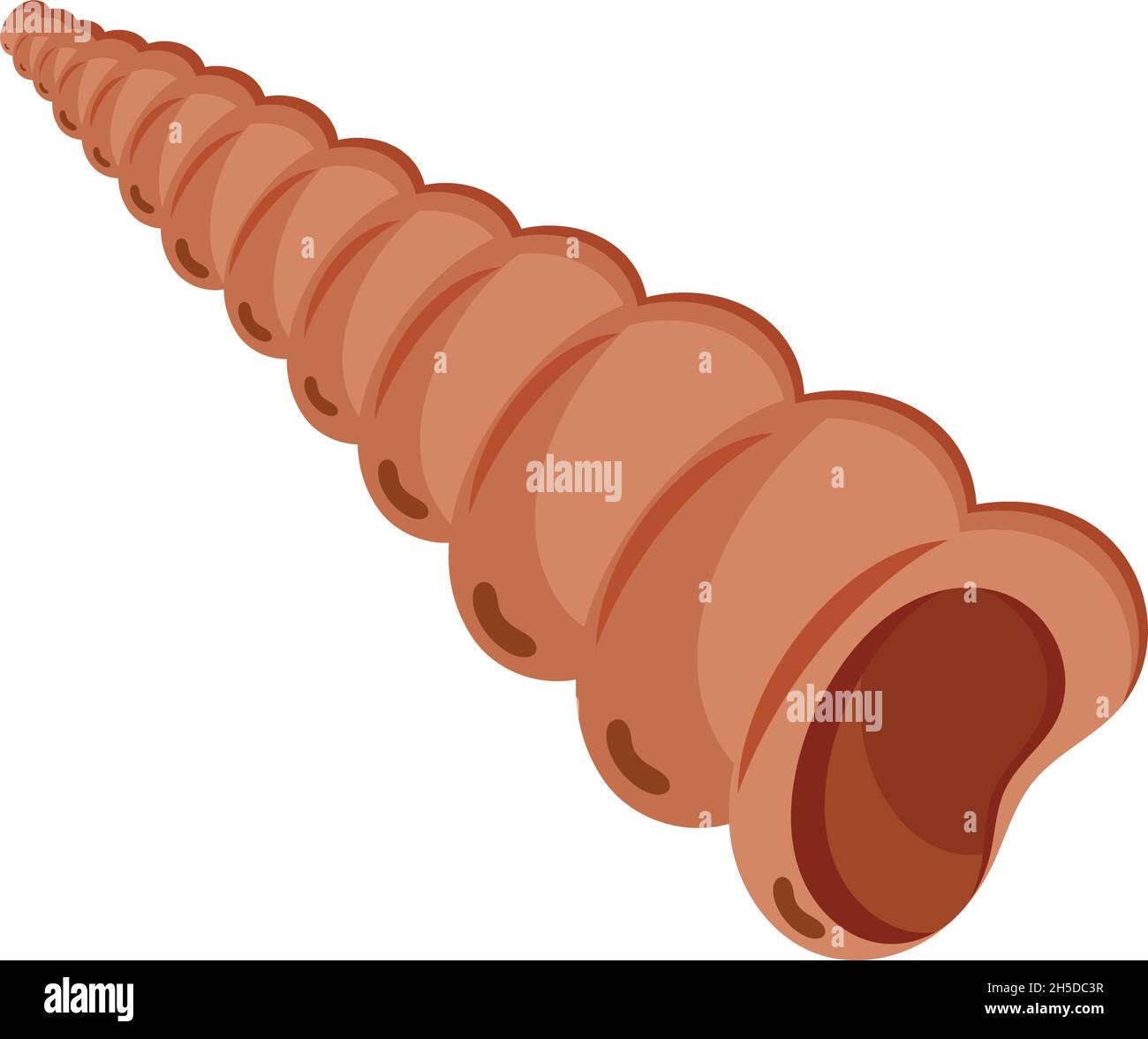 cone form shell Stock Vector Image & Art - Alamy