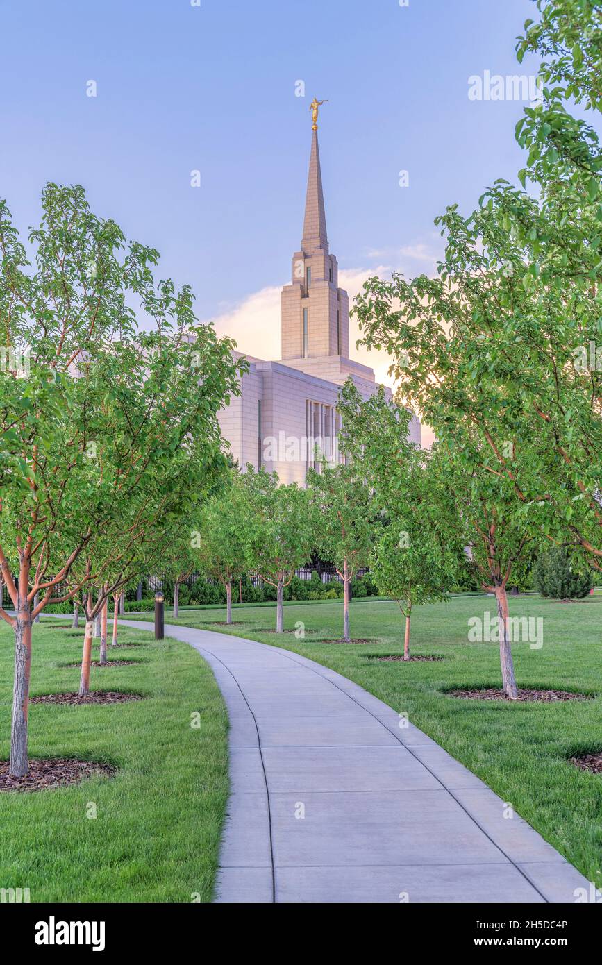 Concrete path with columnar trees on both sides leading to the church ...
