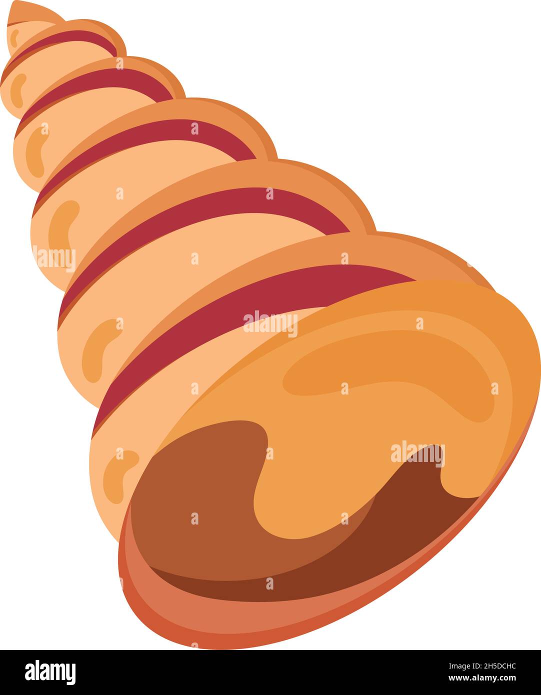 sea shell cone Stock Vector Image & Art - Alamy