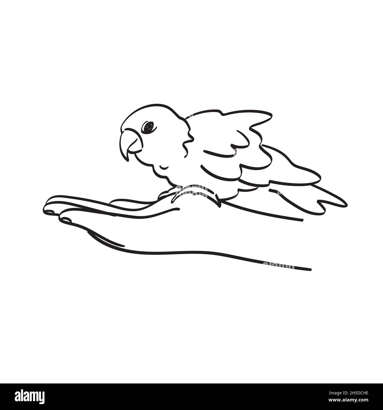 closeup hand holding parrot illustration vector isolated on white ...