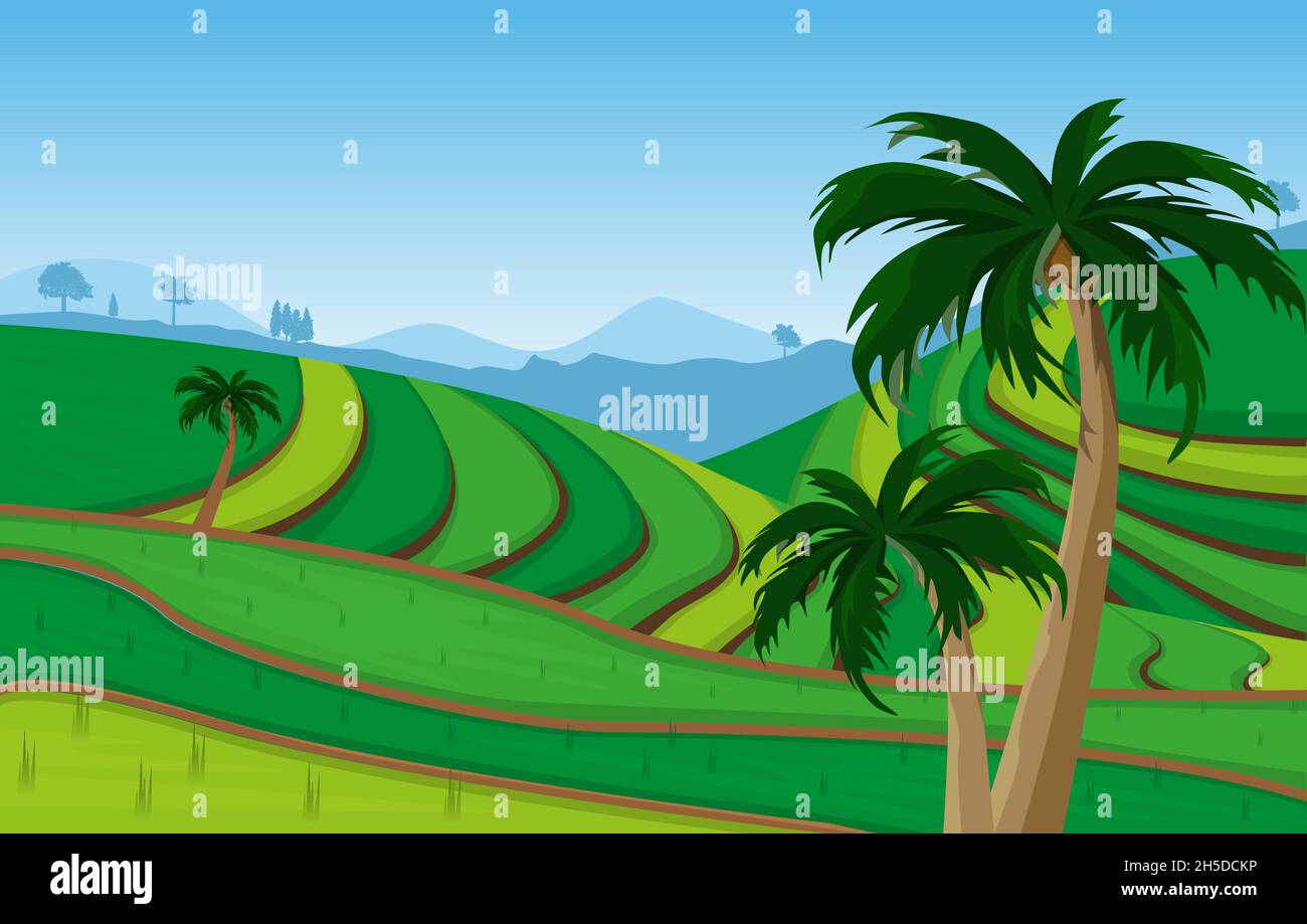 Paddy rice field of bali Stock Vector Images - Alamy