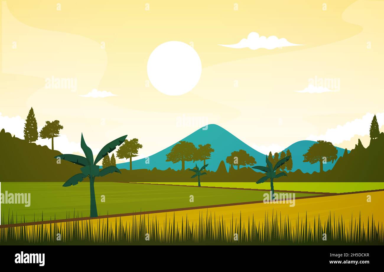 Rice paddy cloud Stock Vector Images - Alamy