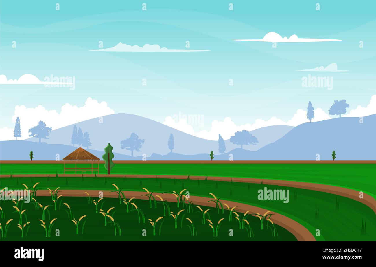Paddy Rice Field Of Bali Stock Vector Images - Alamy