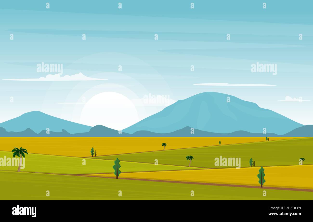Beautiful paddy field illustration Stock Vector Images - Alamy