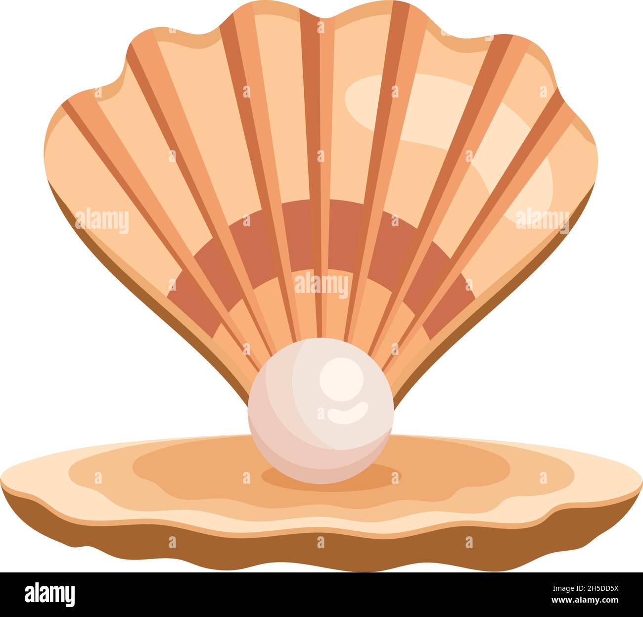 sea shell with pearl Stock Vector Image & Art - Alamy