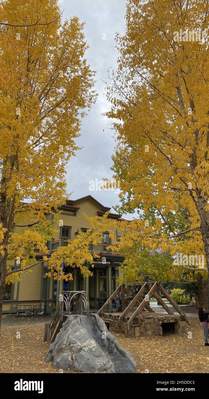 Vertical shot of a museum building and yellow trees in Breckenridge ...