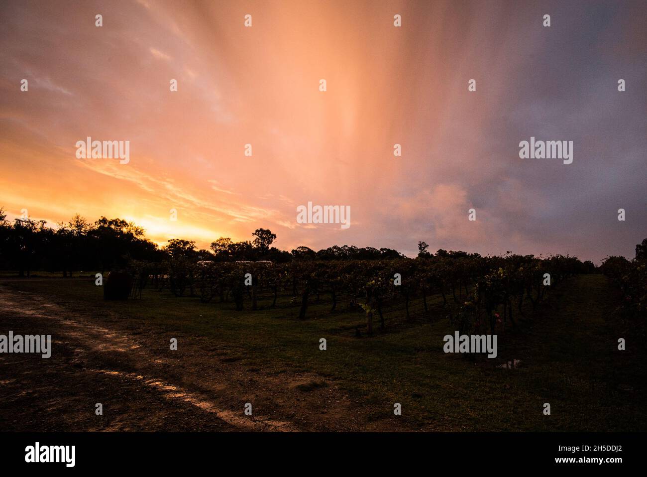 Huntervalley hi-res stock photography and images - Alamy