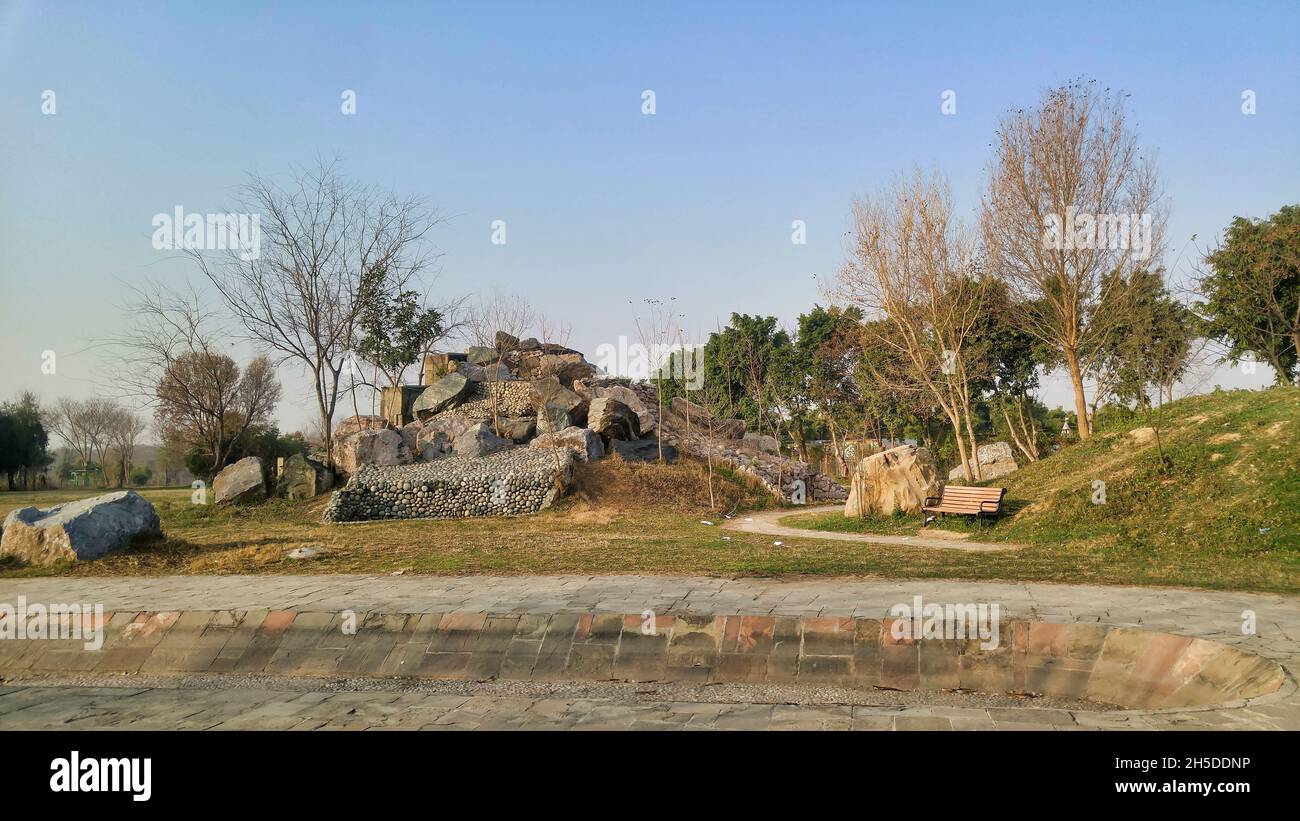 Natural view of a walking path pavement in a park covered in greenery ...