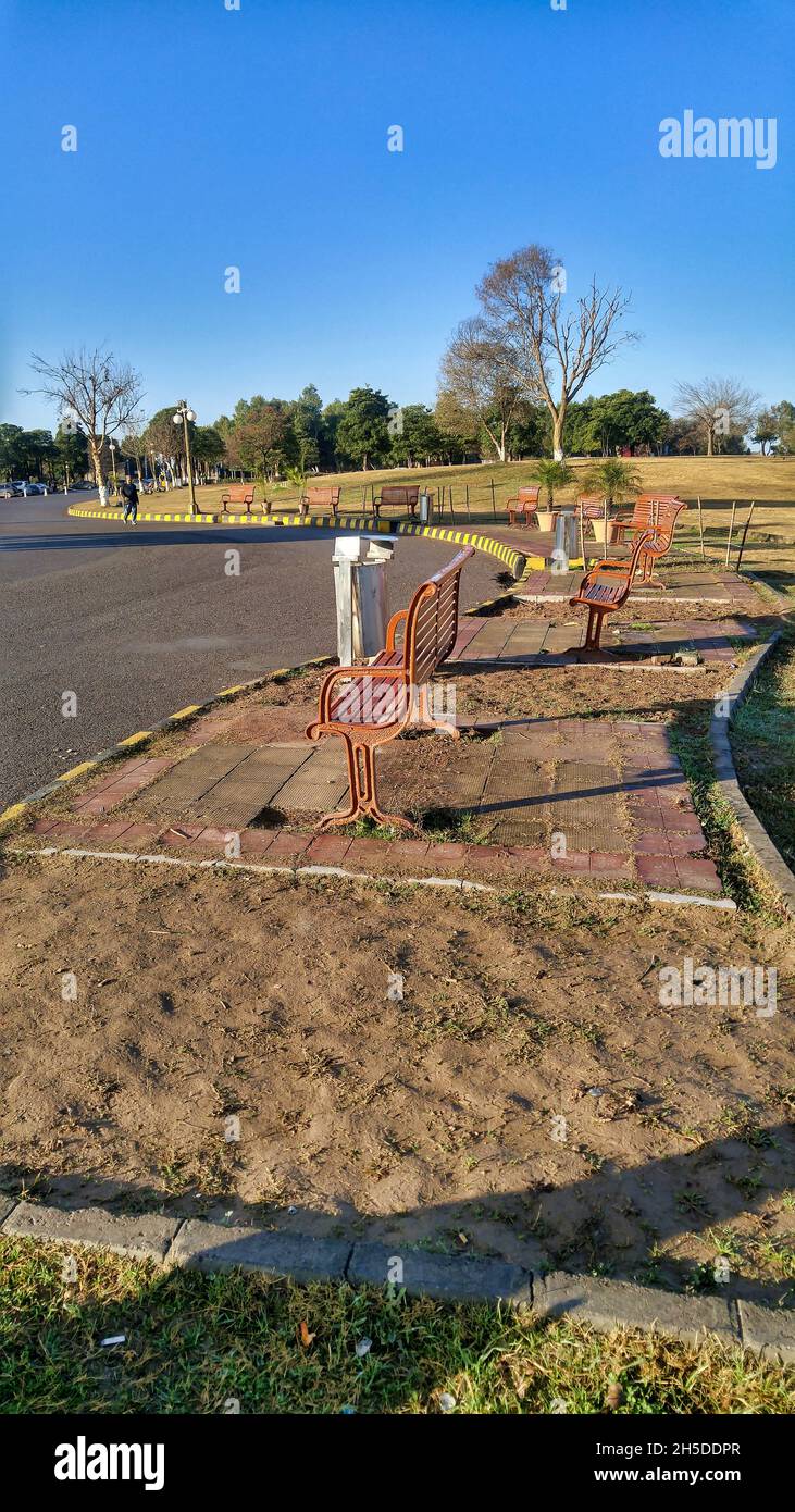 Natural view of a walking path pavement in a park covered in greenery ...