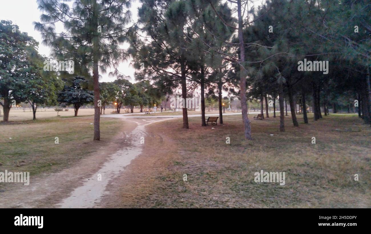 Natural view of a walking path pavement in a park covered in greenery ...
