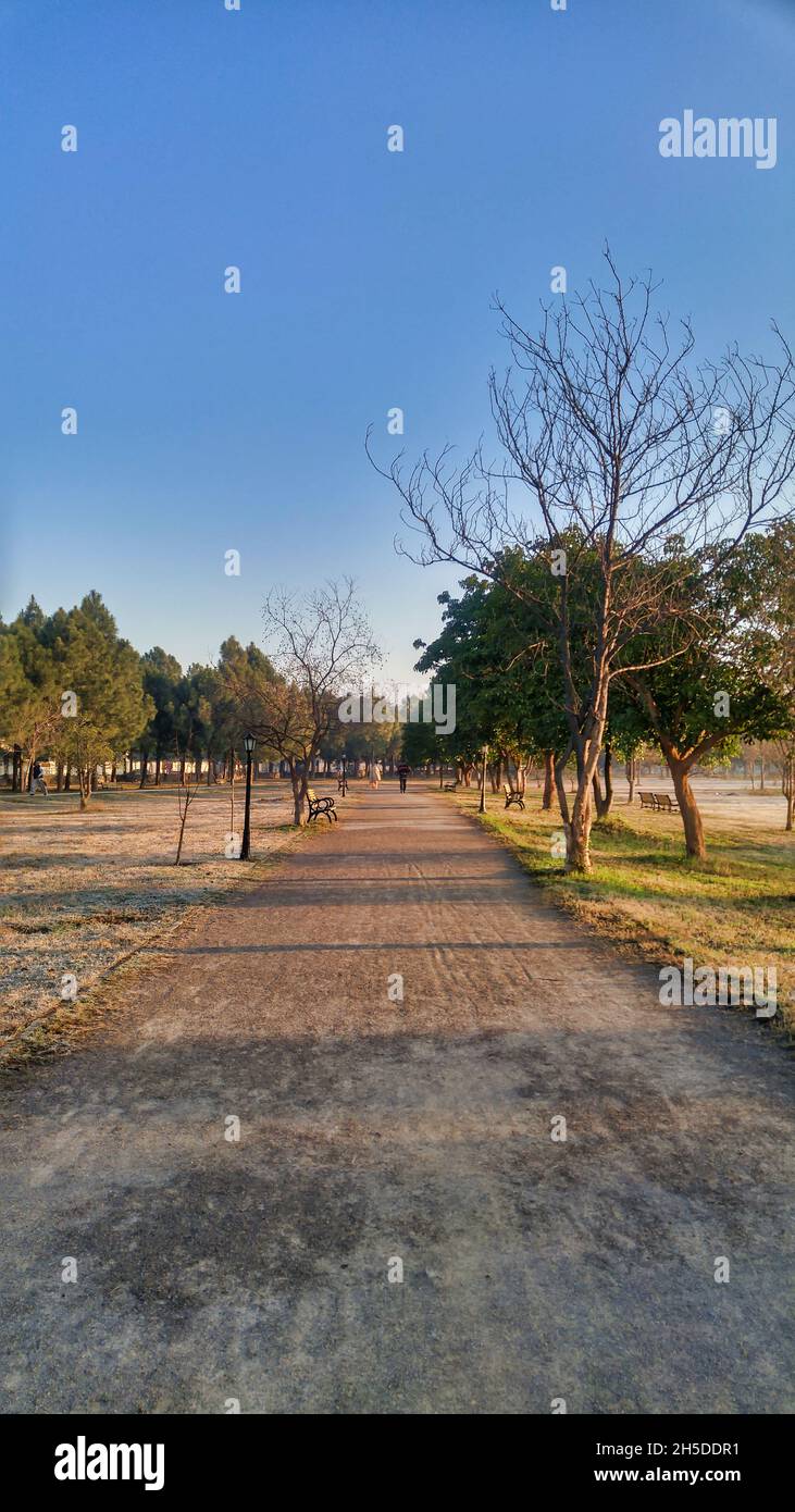 Natural view of a walking path pavement in a park covered in greenery ...