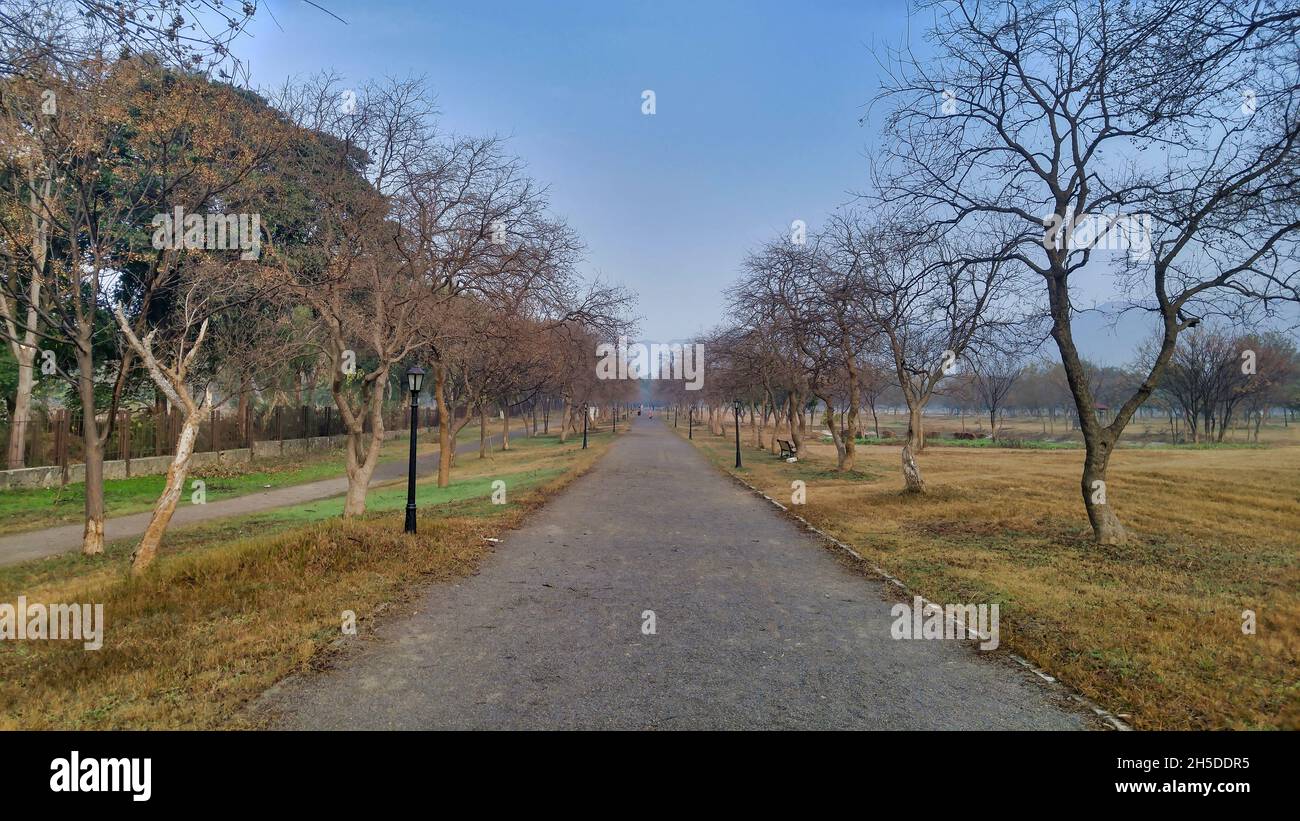 Natural view of a walking path pavement in a park covered in greenery ...