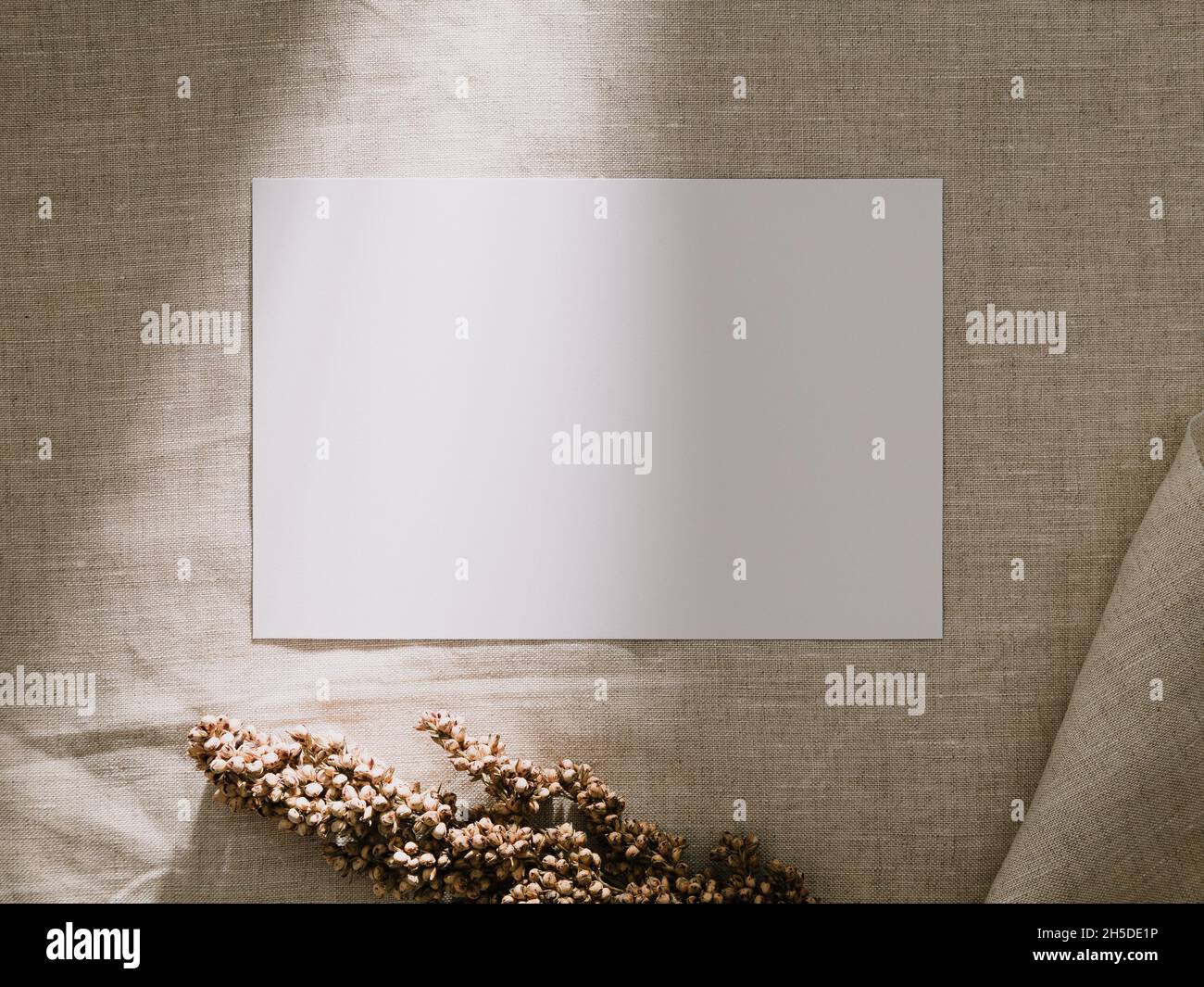 Invitation card mockup, blank greeting card template. Flat lay ...