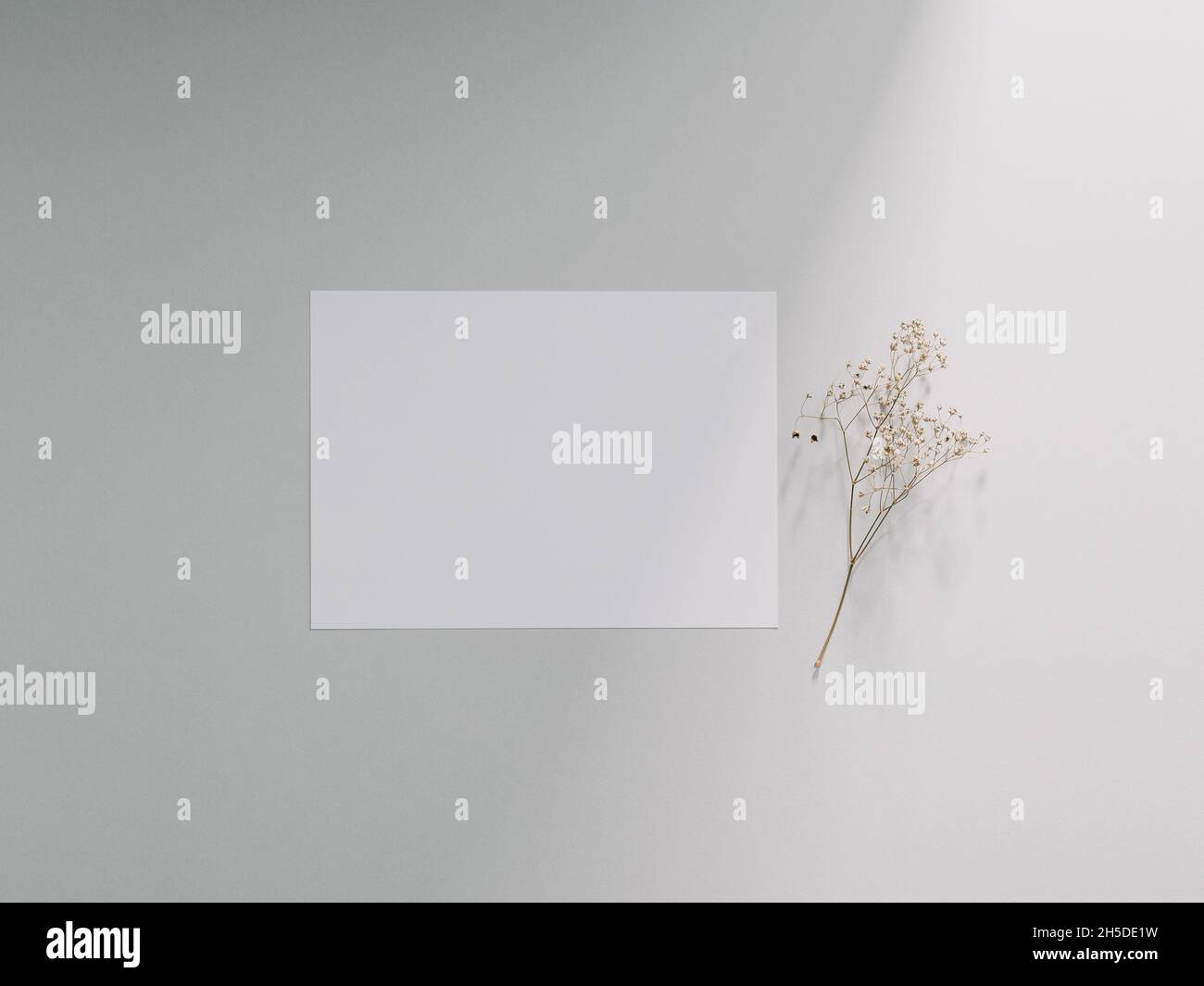 Greeting card mockup, blank invitation card template. Flat lay ...