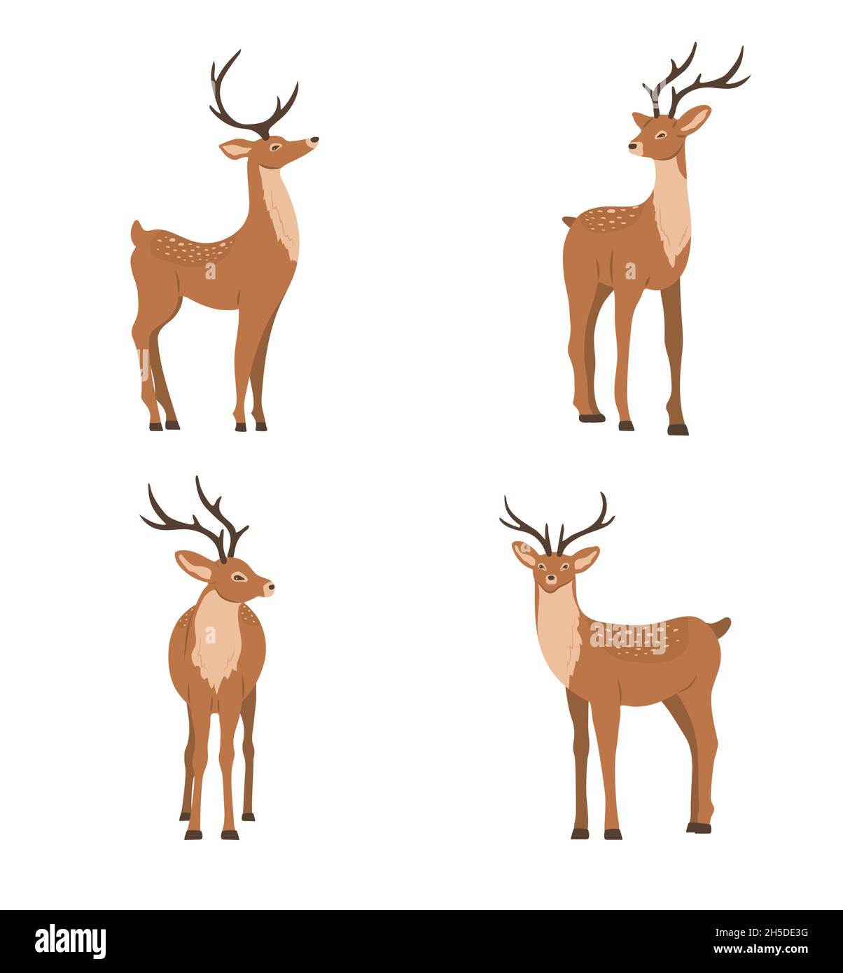 Cute noble sika deer. Set of reindeers with antlers in different poses ...