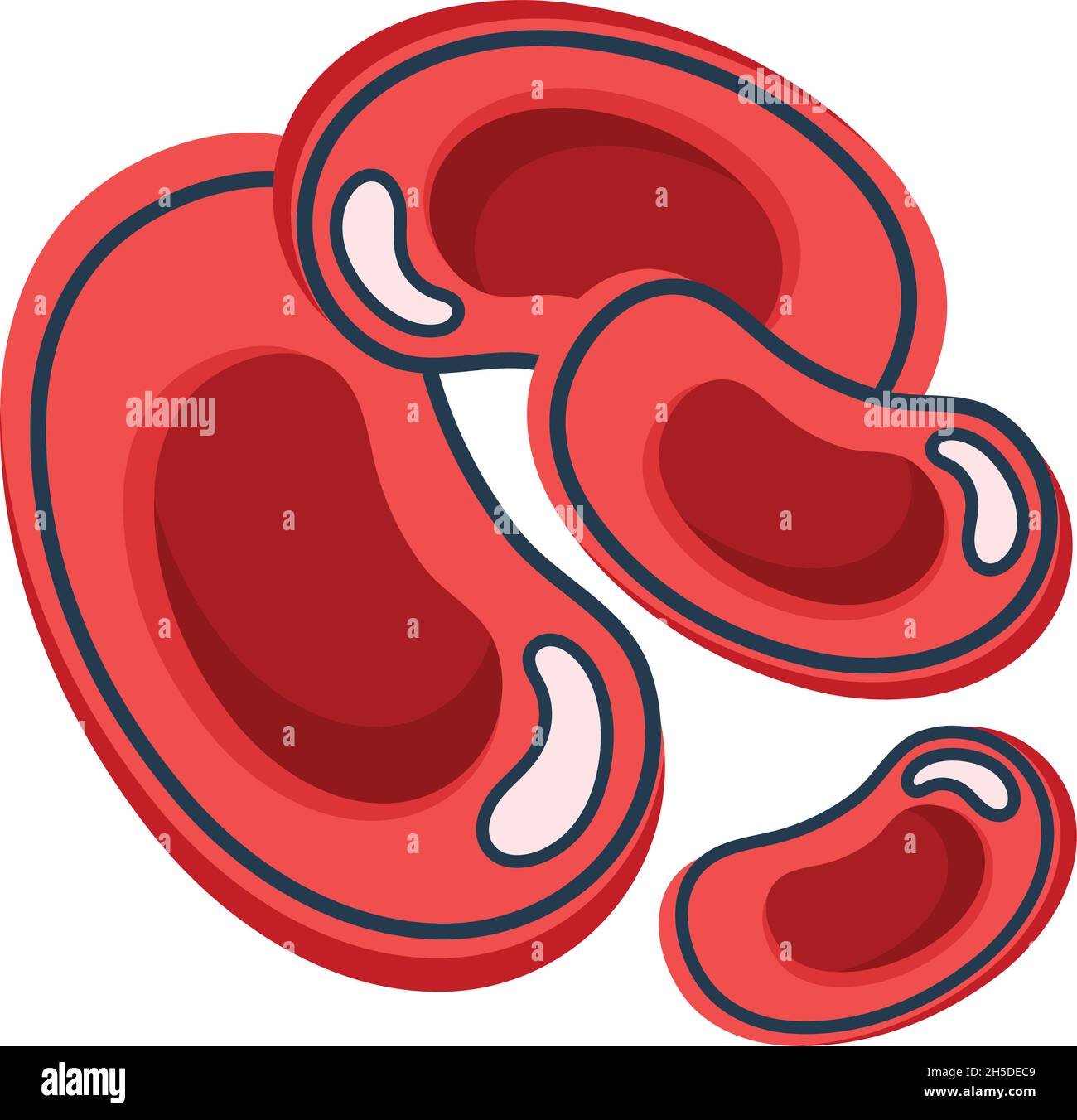 red blood cells Stock Vector Image & Art - Alamy