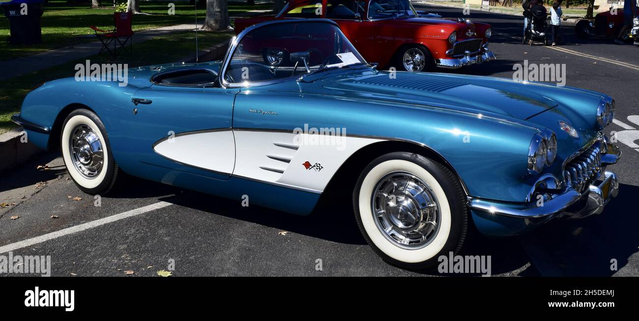 FRESNO, UNITED STATES - Oct 09, 2021: A Profile Photo of a beautiful ...