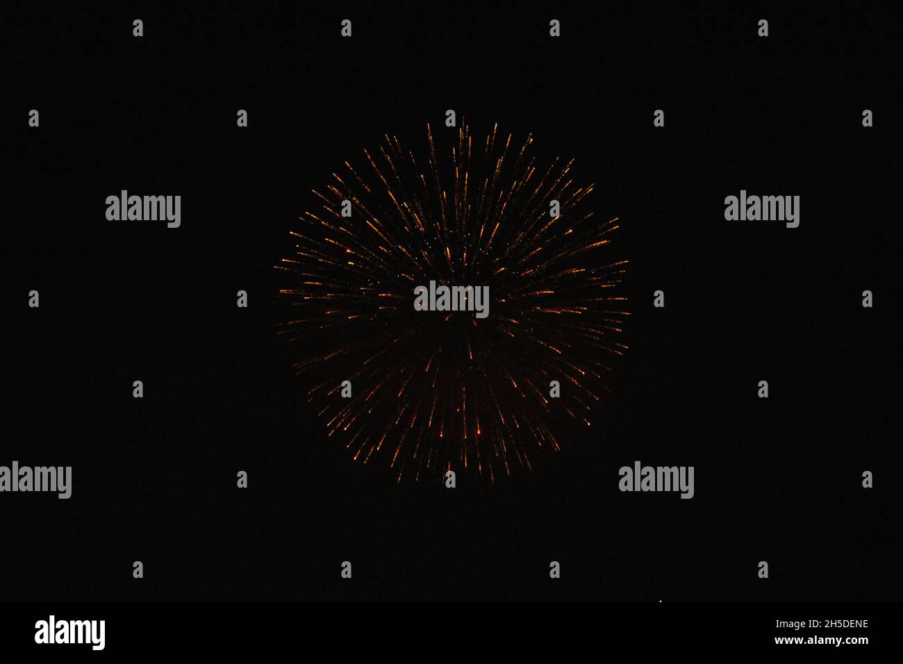 Festive firework exploded in the sky at night Stock Photo - Alamy