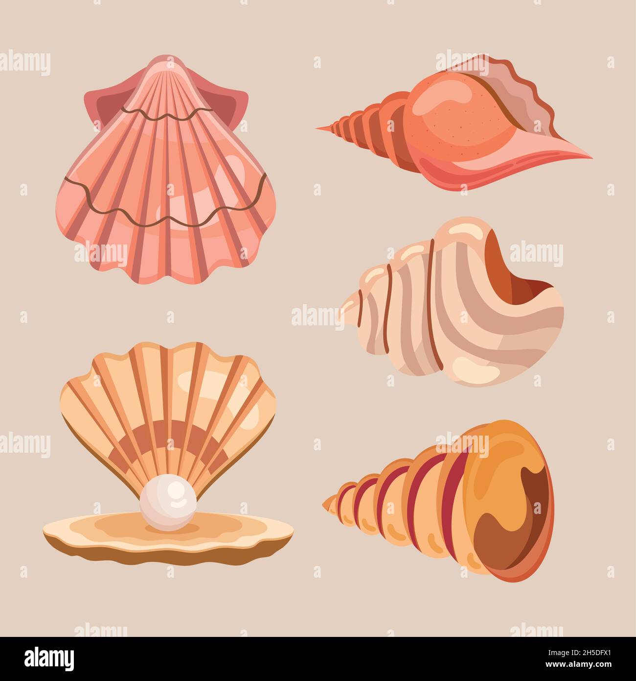 Five shells Stock Vector Images - Alamy