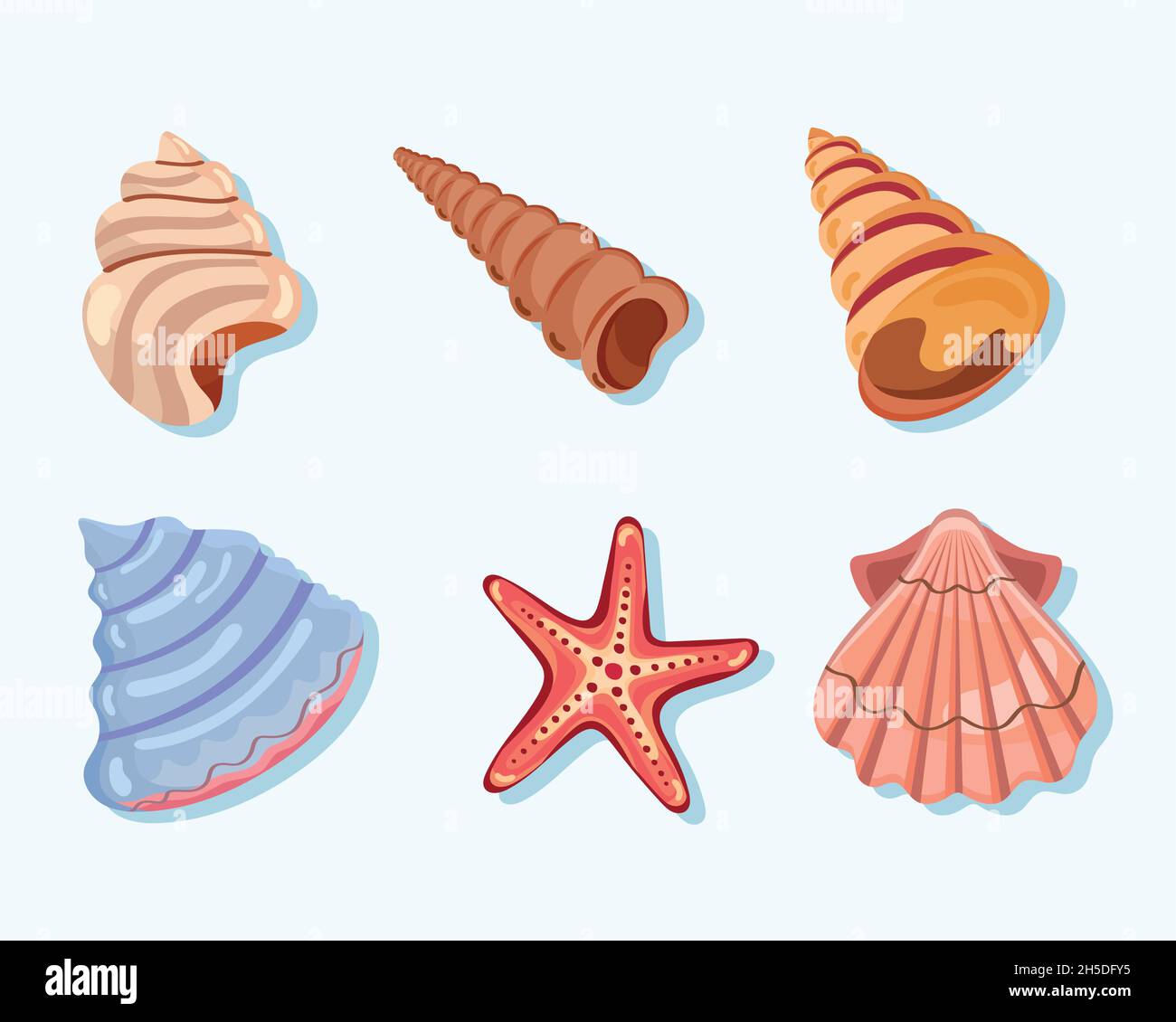 Cone shells Stock Vector Images - Alamy