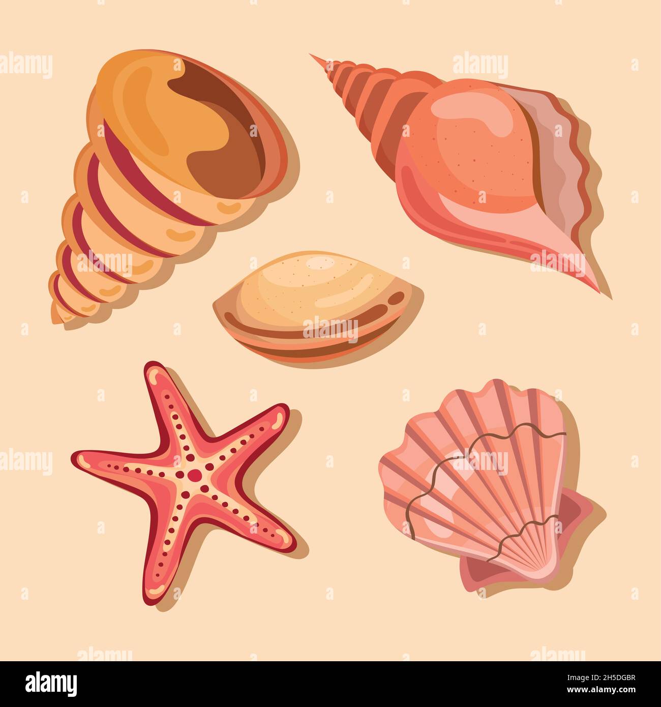 five sea shells icons Stock Vector Image & Art - Alamy