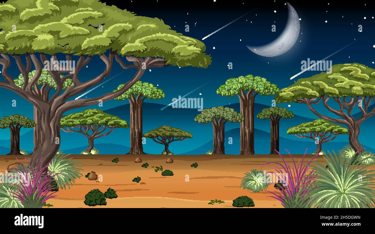 African Savanna forest landscape scene at night illustration Stock ...