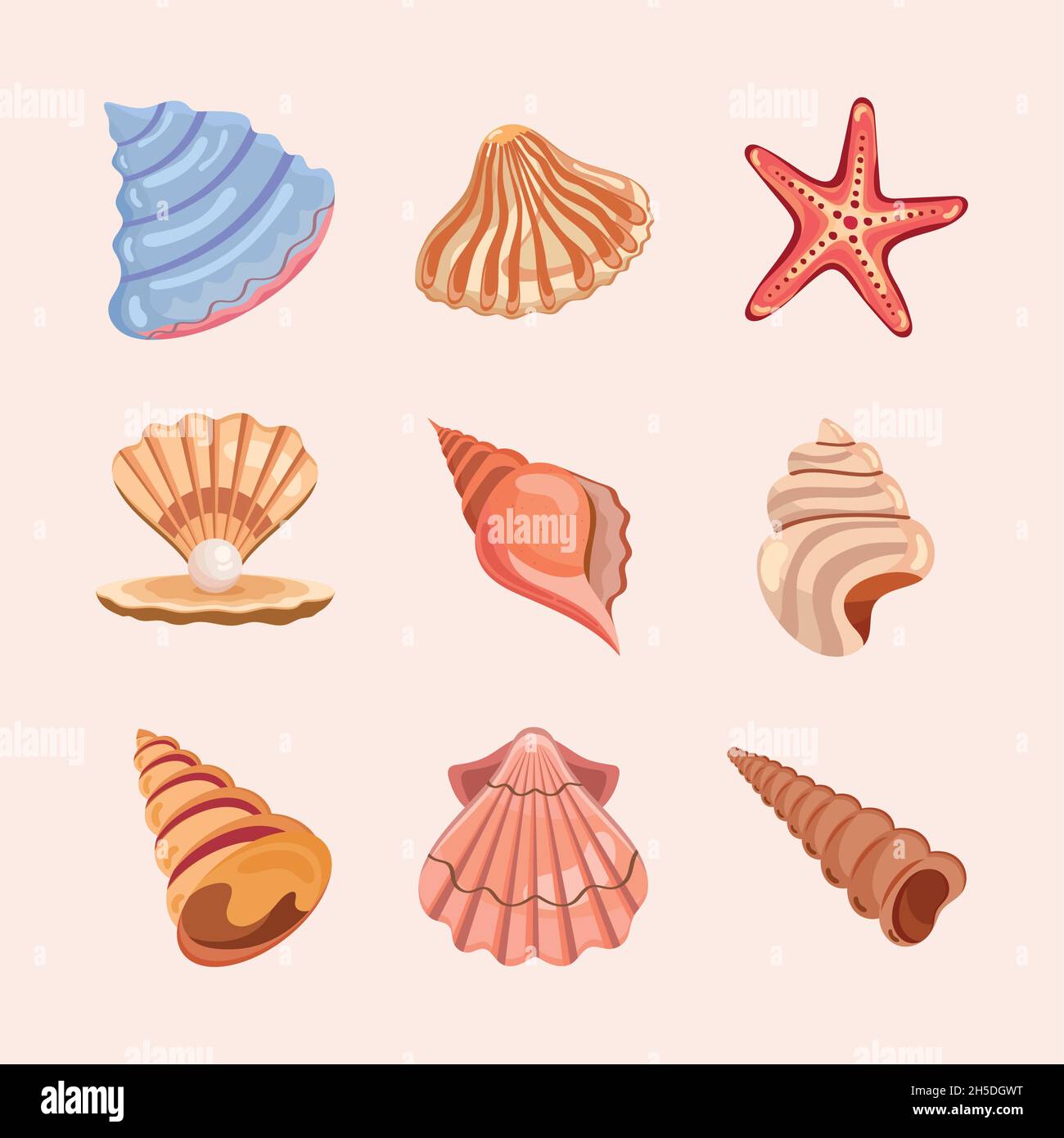 Cone shells Stock Vector Images - Alamy