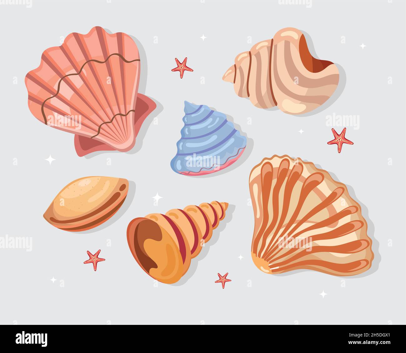 Cone shells Stock Vector Images - Alamy