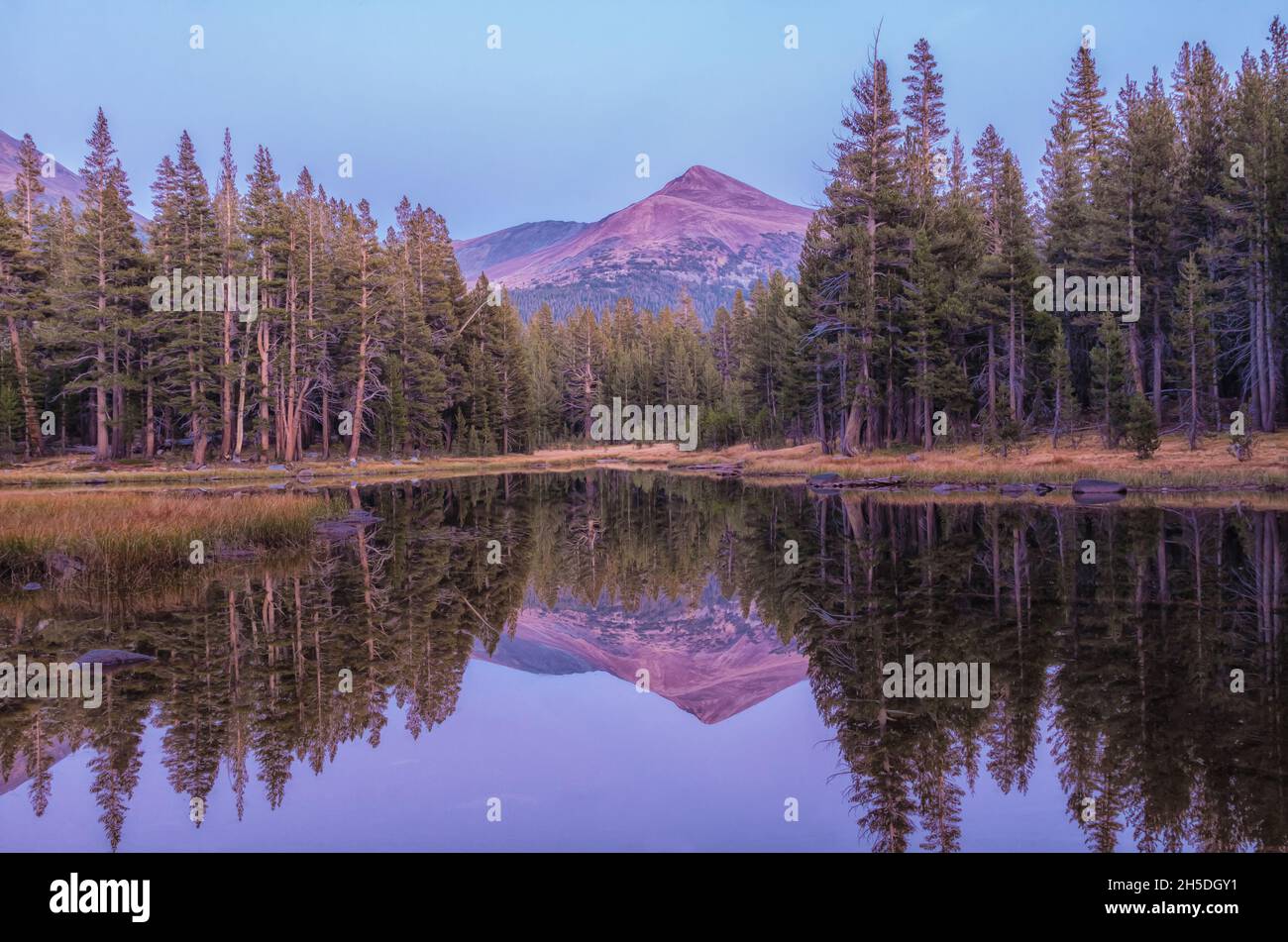 A serene landscape showcase a tranquil lake nestled amidst a dense ...