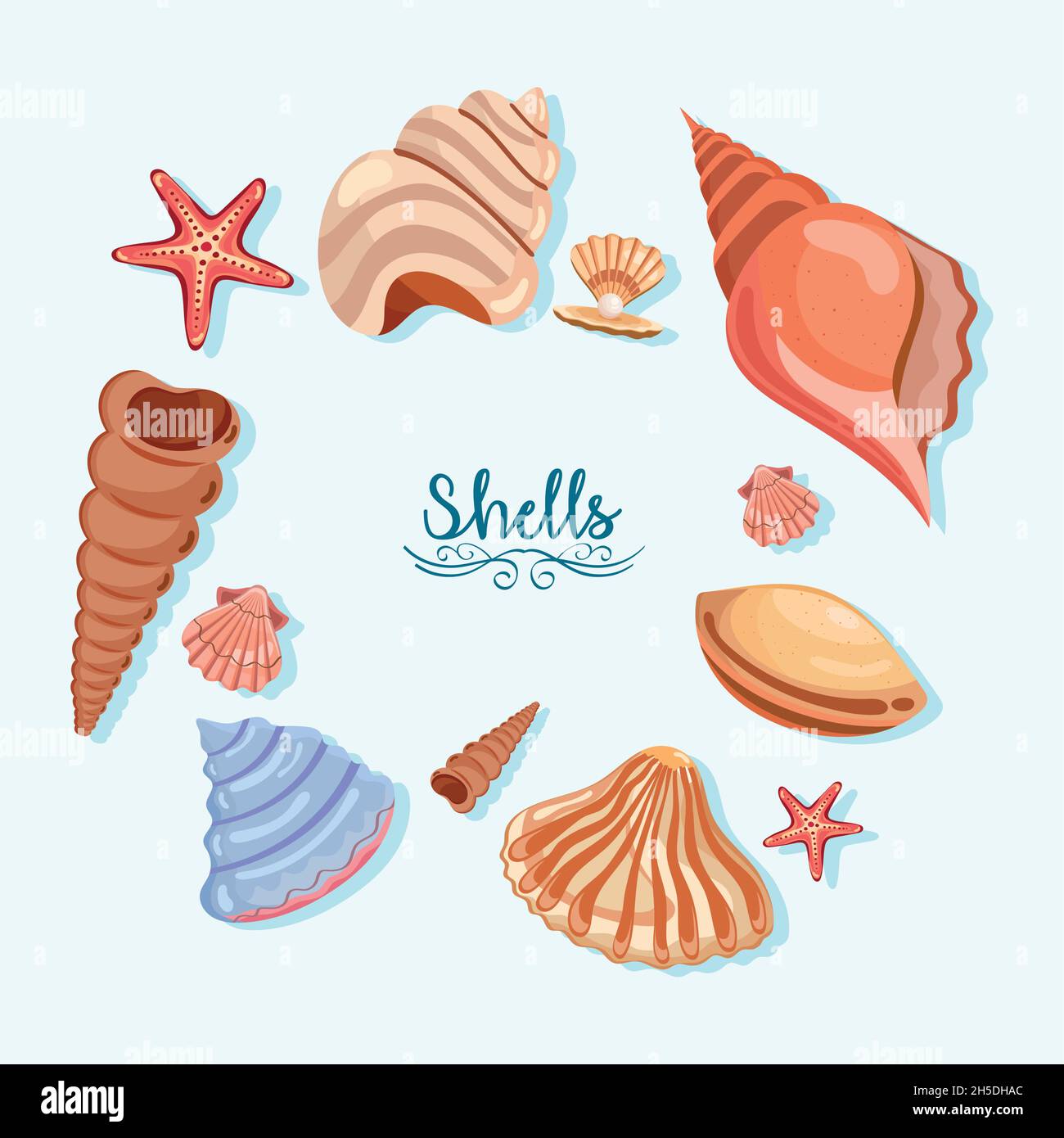 twelve sea shells icons Stock Vector Image & Art - Alamy