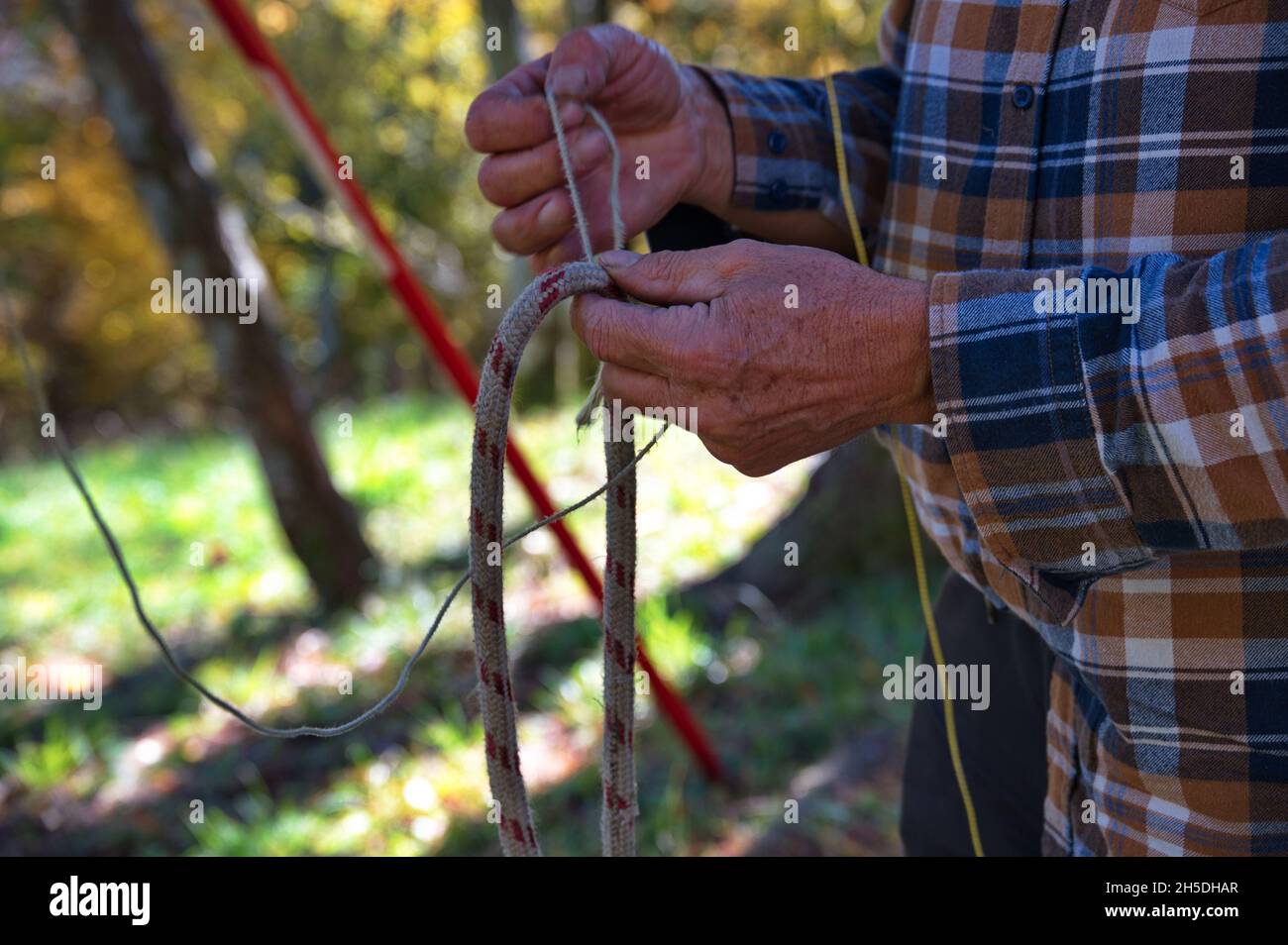 Professional arborist preparing rope tree hi-res stock photography and ...