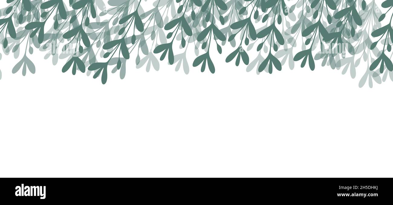 Floral web banner with drawn color exotic leaves. Nature concept design ...