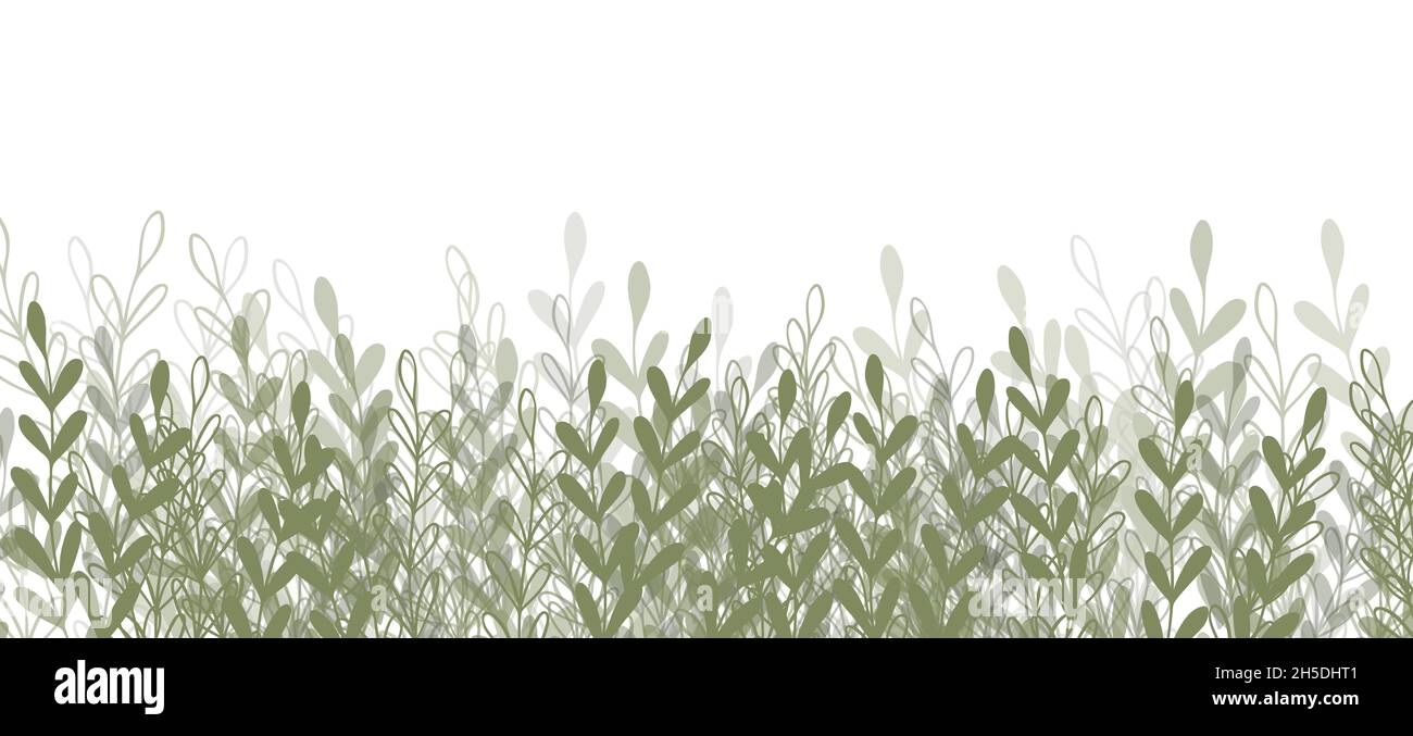 Floral web banner with drawn color exotic leaves. Nature concept design ...