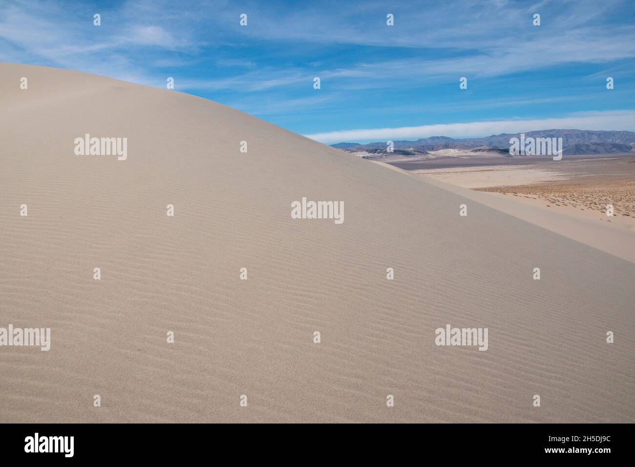 The Eureka Sand Dunes are the tallest sand dunes in California, as well ...