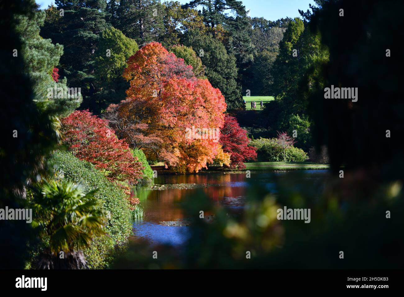 Trees and parks in Autumn colours Stock Photo - Alamy
