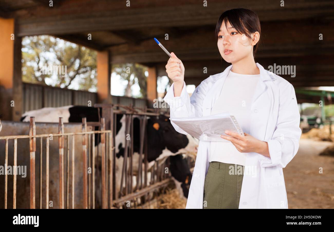 Professional female vet standing near calves barn in livestock farm ...