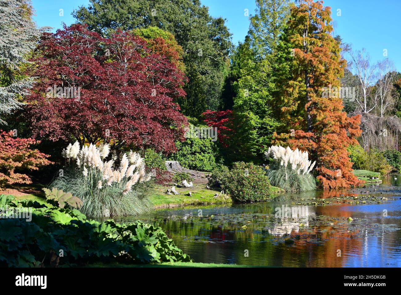 Trees and parks in Autumn colours Stock Photo - Alamy