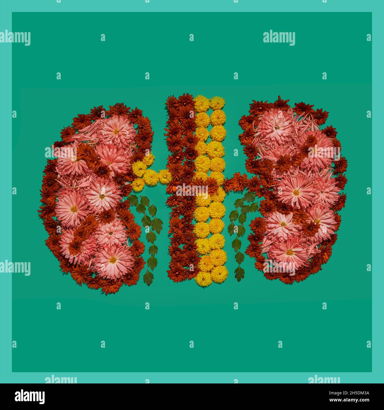 Flower installation of kidneys on green background, concept of kidney ...