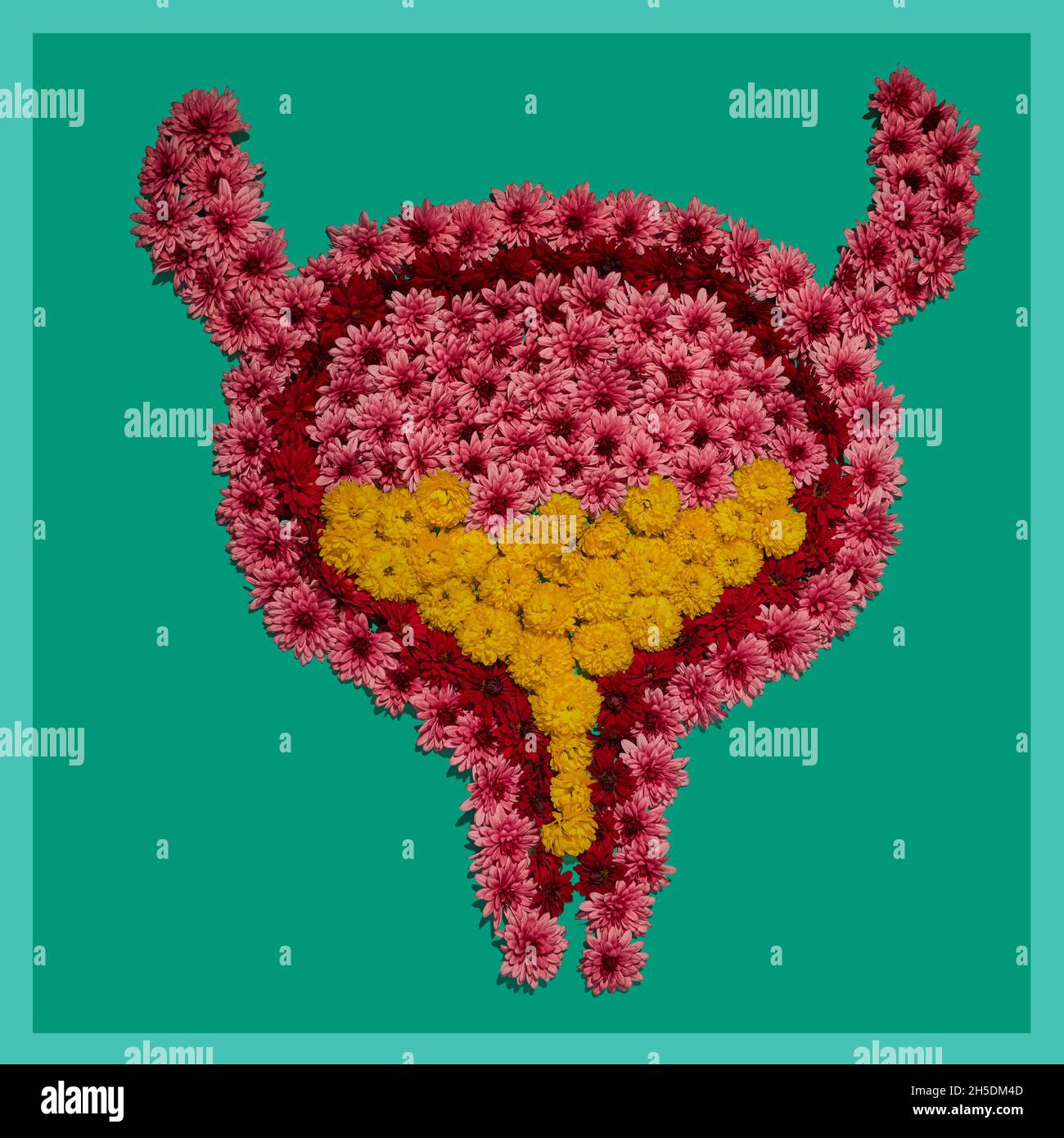 Flower installation of human bladder on green background, concept of bladder health . Part of ...