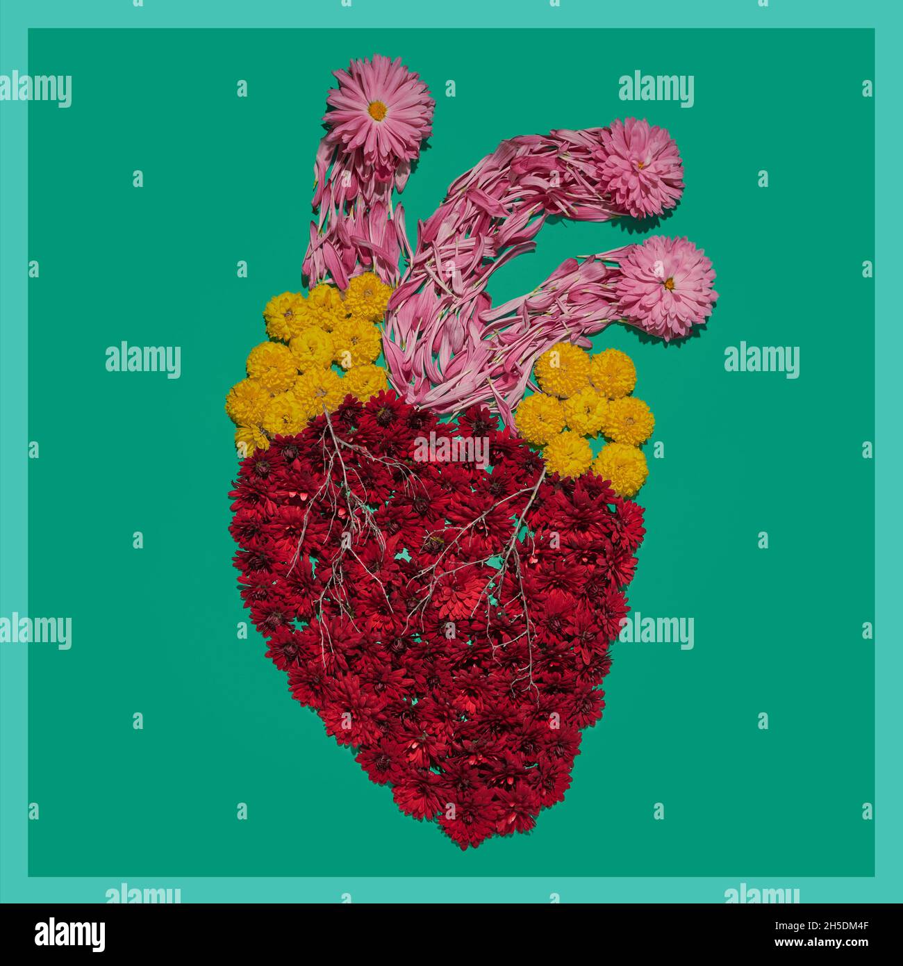 Anatomical model of human heart , flower installation on green ...