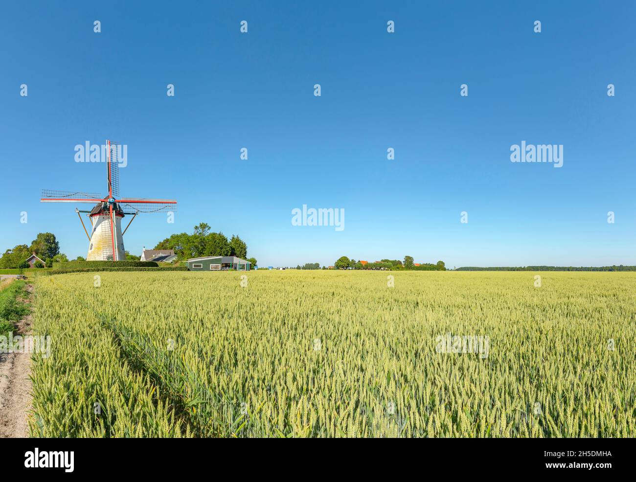 Wheat windmill called Aeolus with a wheatfield *** Local Caption ...