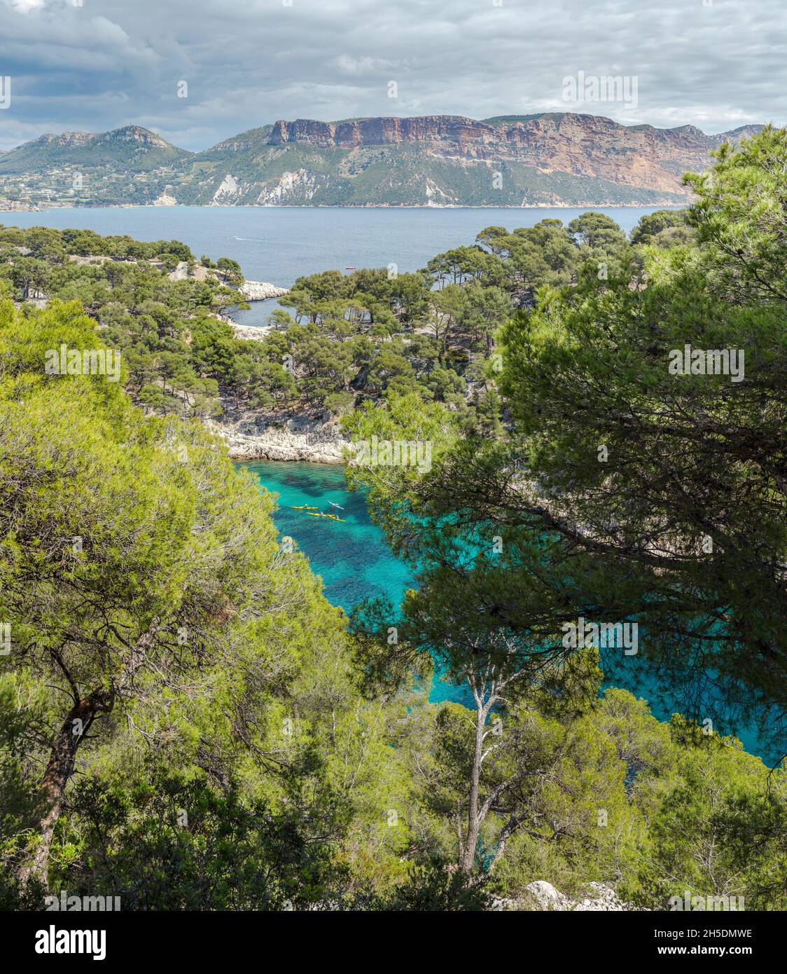Calanque de Port Pin *** Local Caption *** Cassis, France, landscape, water, trees, summer ...