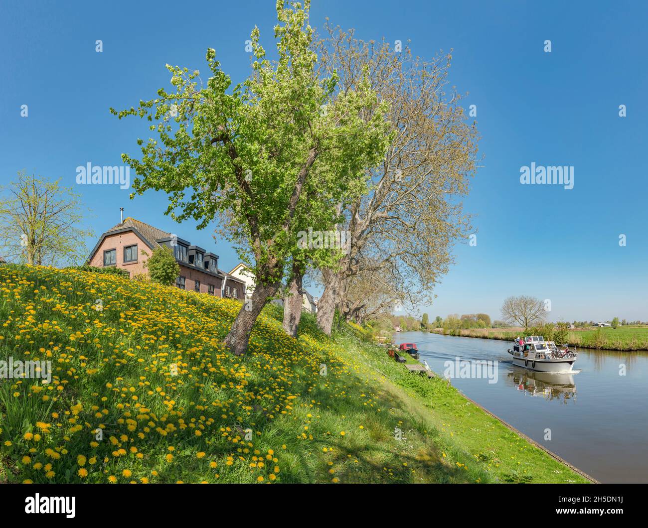 Houses on top of the dike of the river Linge and a passing by motorboat ...