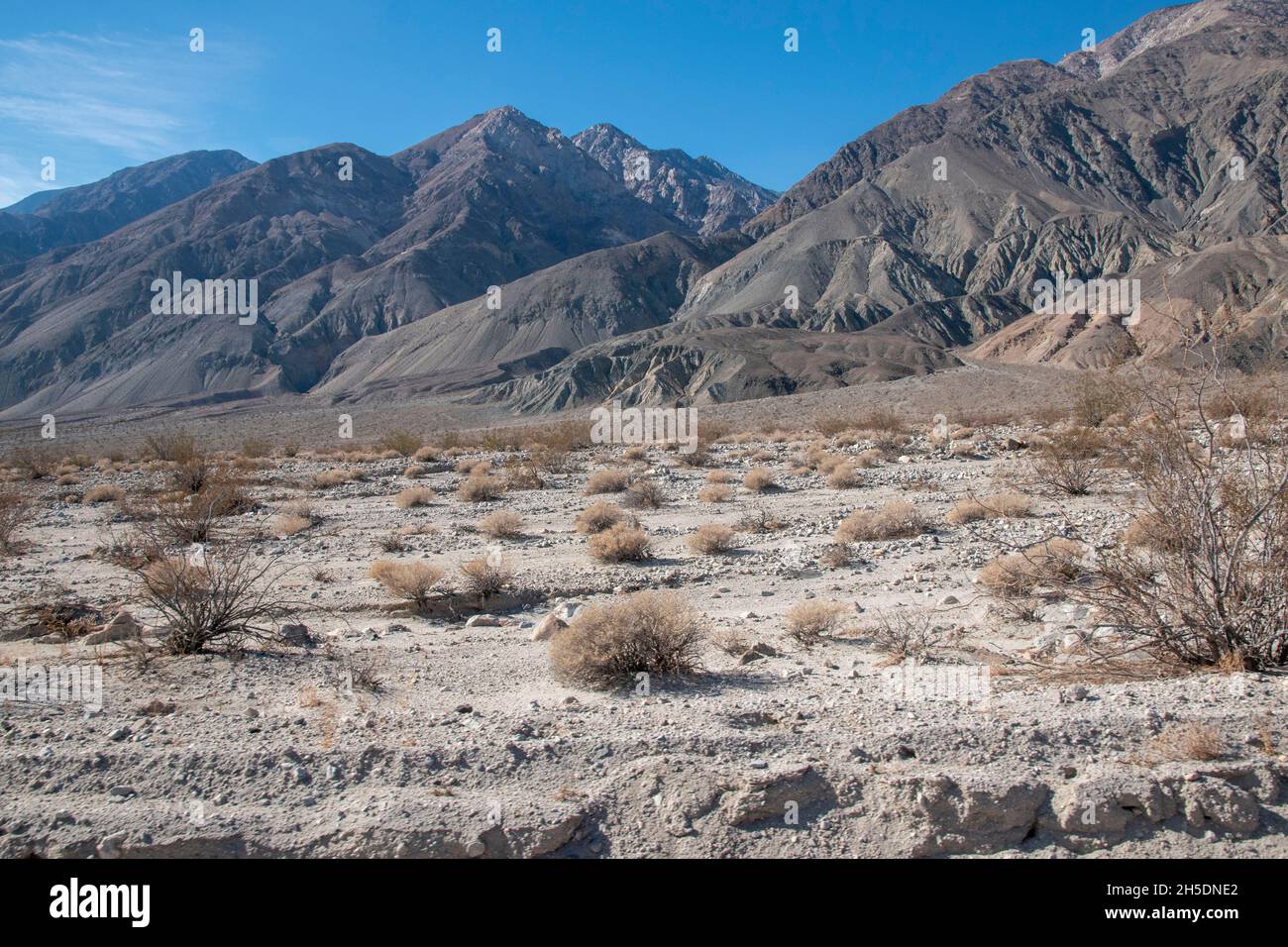 Saline Valley warm springs are surrounded by an oasis and campground ...