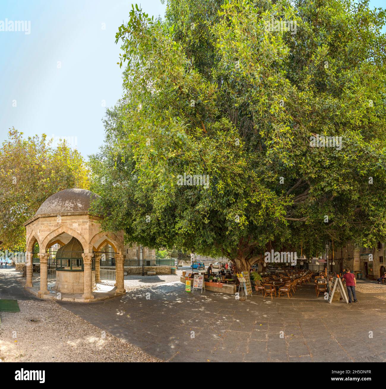 Square, waterwell, outdoor cafe under an enormous tree *** Local ...