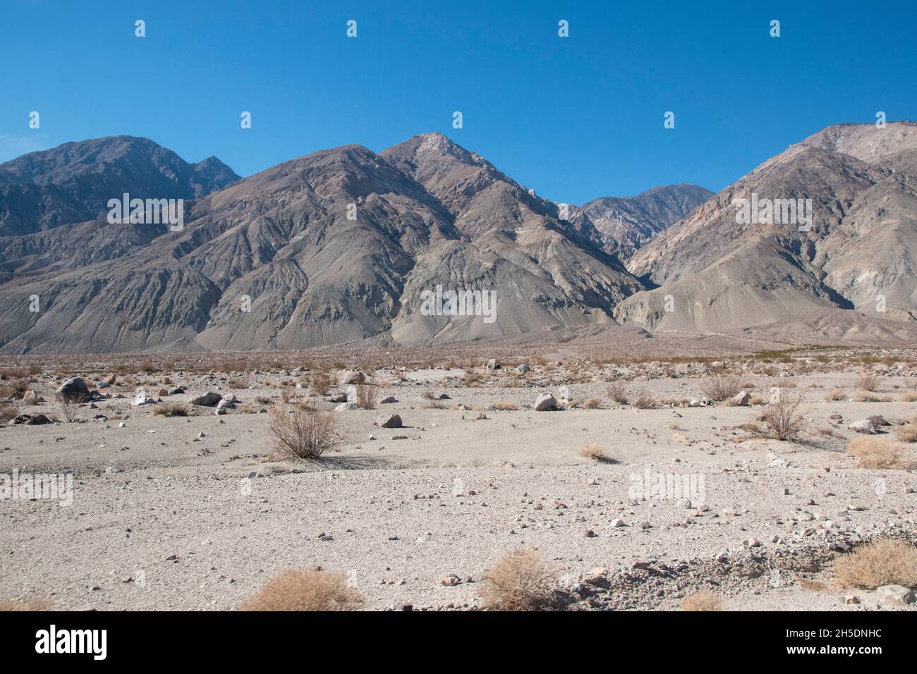 Saline Valley warm springs are surrounded by an oasis and campground ...